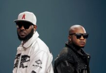 Dizmo ft Yo Maps – Teti | Pickwap Music